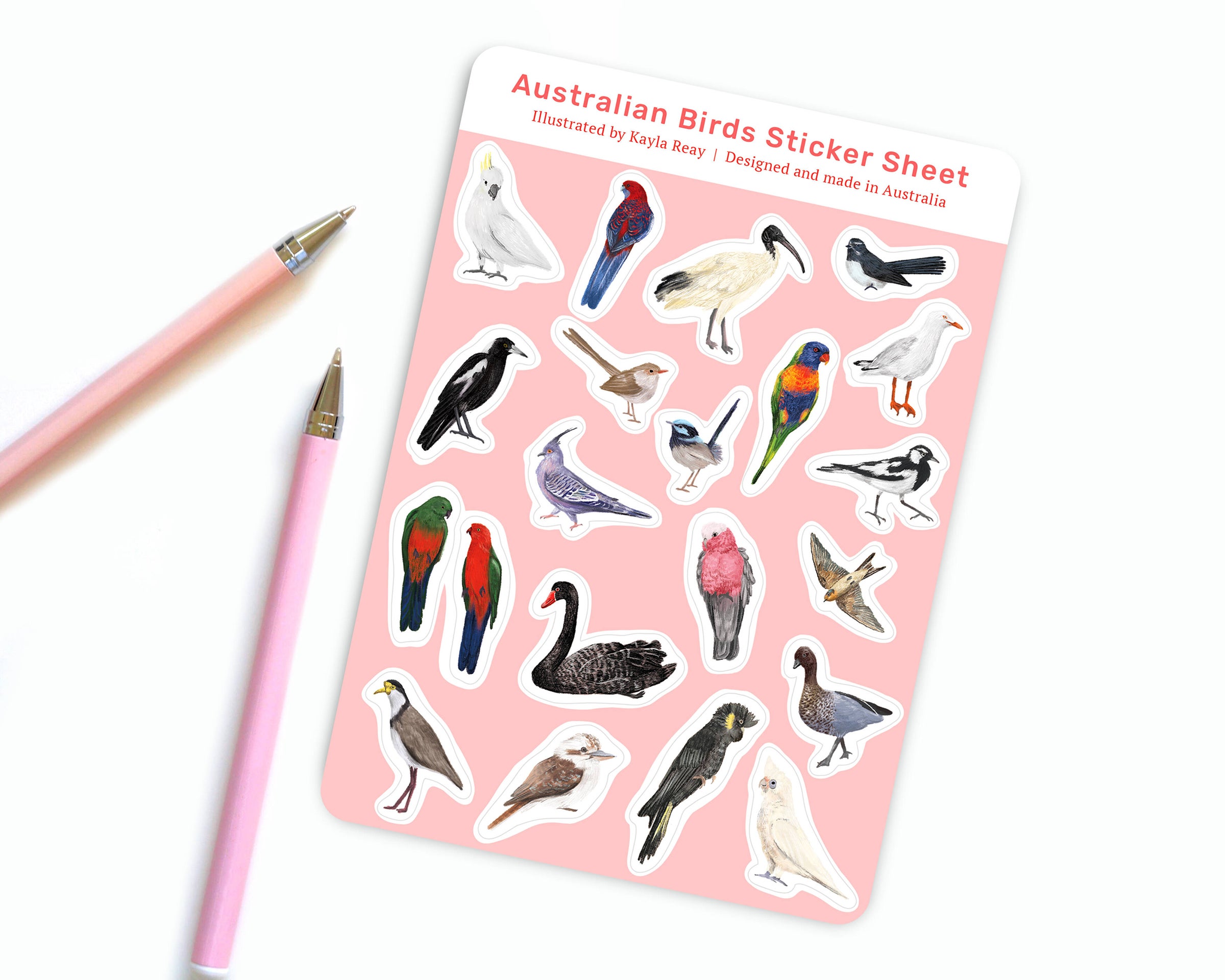 Common Australian Backyard Birds - Get to know your local birds ...